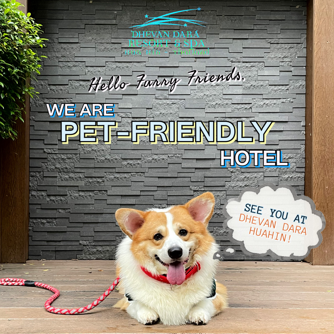 Pet Friendly Hotels In Hua Hin 